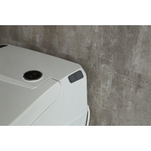 RunFine Group 1.28 GPF Elongated Floor Mounted Bidet Toilet (Seat Included) | Wayfair